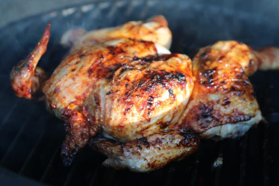 Gunpowder Chicken - Meat Smoke Fire